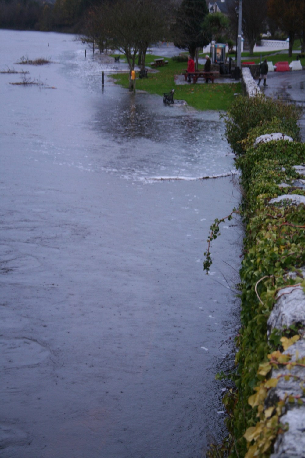 The Limerick Navigation (upper end) in flood November 2009 | Irish ...