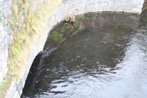 The Cong Canal | Irish waterways history