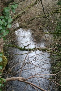 The Cong Canal | Irish waterways history